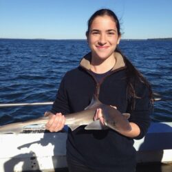 Our authors – oceanbites