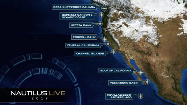 2+ Ocean Exploration Expeditions to Join This Year – oceanbites