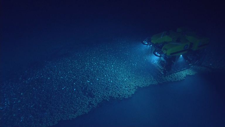 Top 5 Highlights of Deep Sea Exploration in 2017 – oceanbites