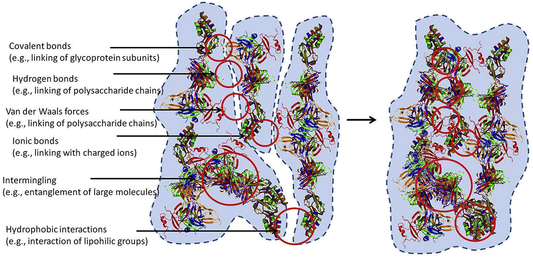 Let it Sludge! – oceanbites