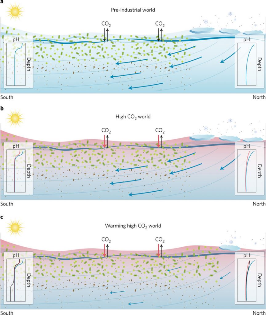 Ocean Acidification: No Longer Confined to the Sea Surface – oceanbites