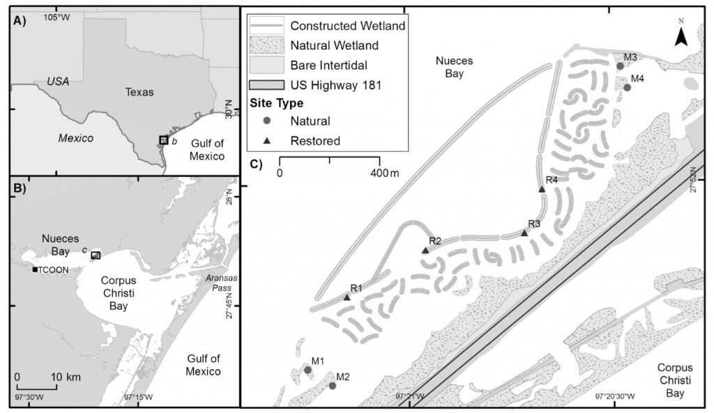 Restoring the links between land and sea – oceanbites