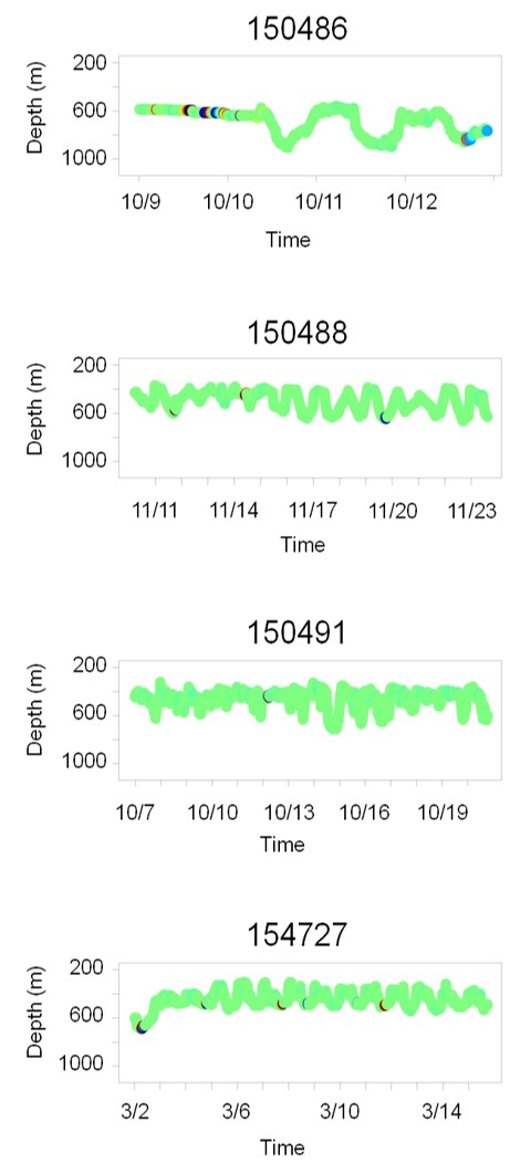 Danger in the deep: uncovering the vertical movement patterns of ...