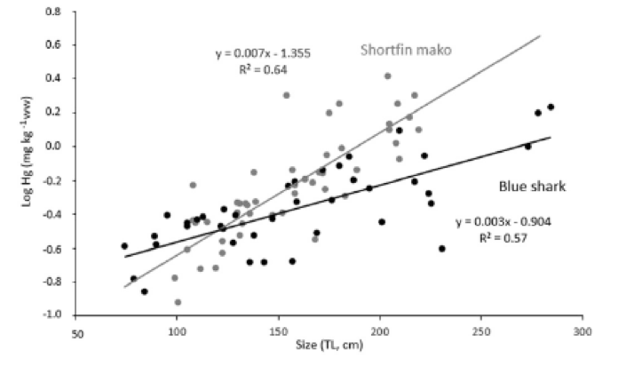 Little fish, big fish… which one poses the bigger threat? – oceanbites