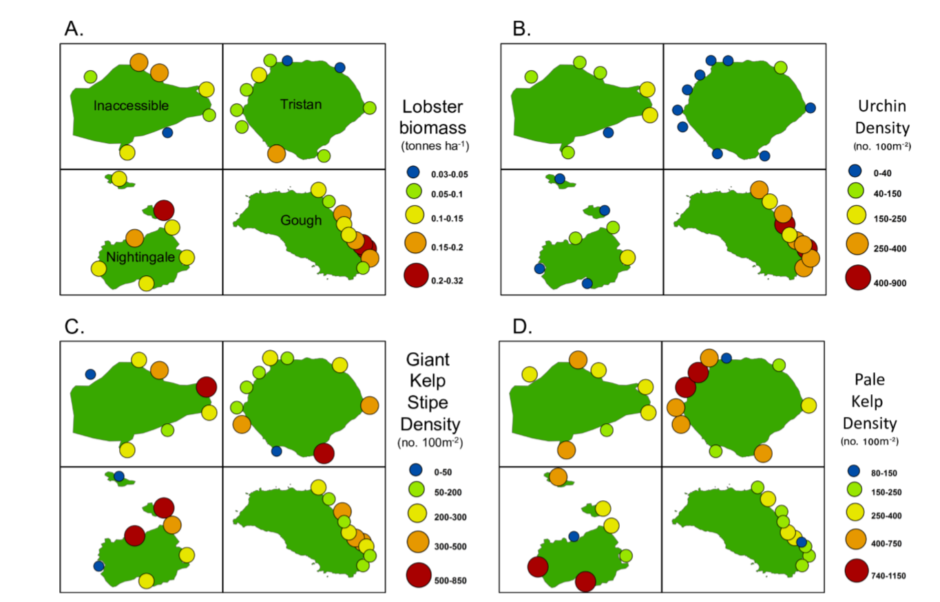 Hope in isolation: four small islands are defying current threats to ...