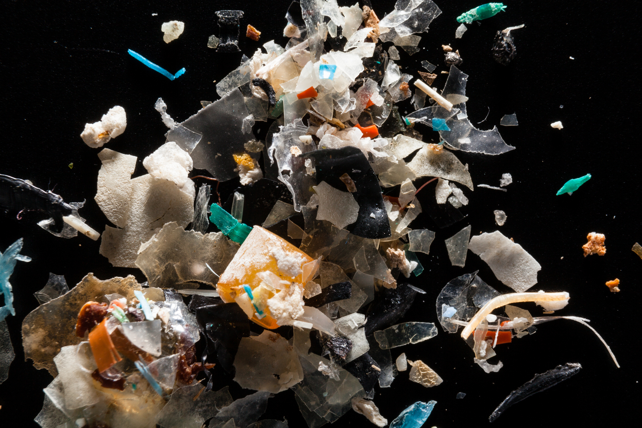 Turtles in the Trash: How microplastics are washing up where turtles ...