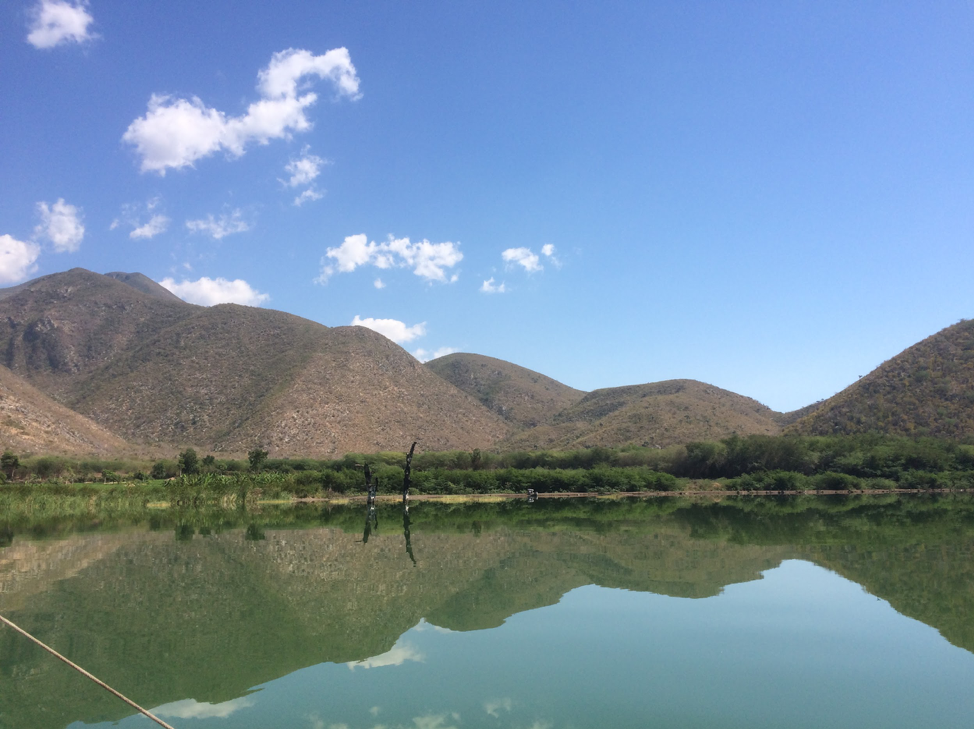 Growing a Scientist: Undergraduate Research 2018, part 1 – oceanbites