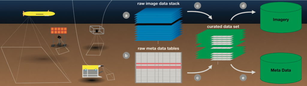 oceanbites – Page 36 – Ocean science for everyone!