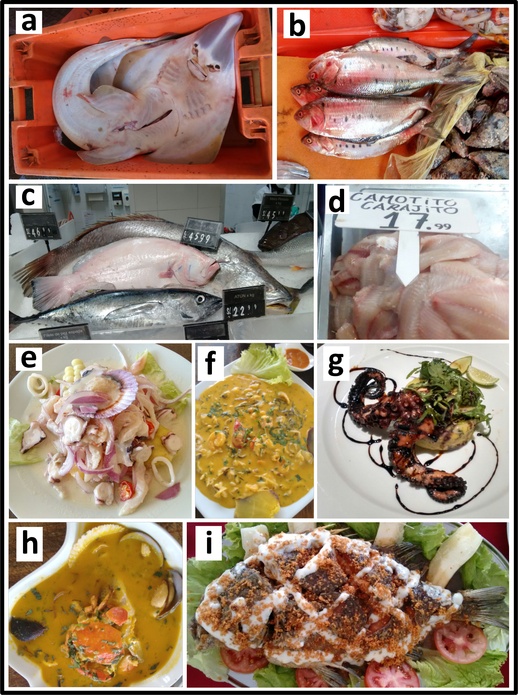 A Case of Mistaken Identity: Seafood Fraud – oceanbites