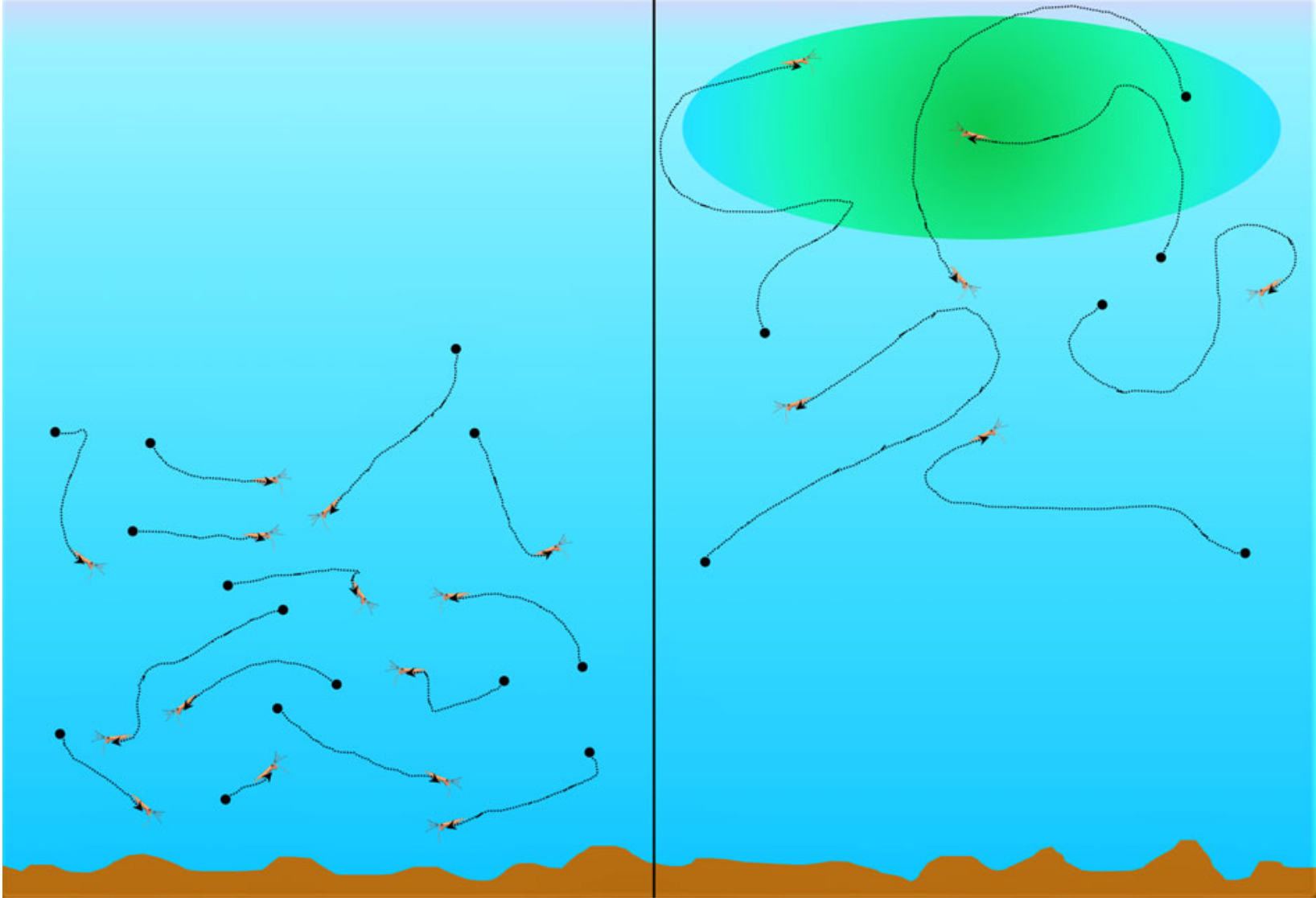 I like to move it, move it: Krill boogie down all year – oceanbites