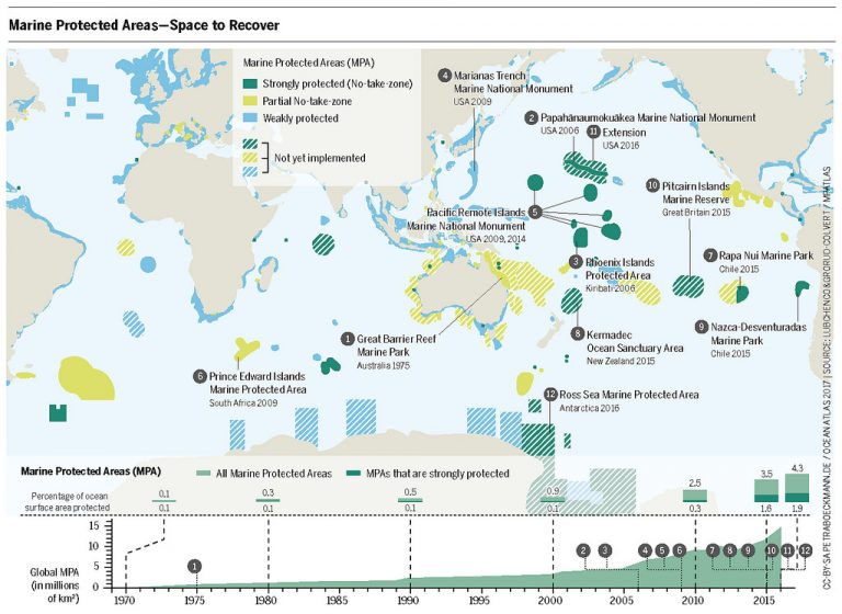 Commercial fishing in Marine Protected Areas highlights the need for ...