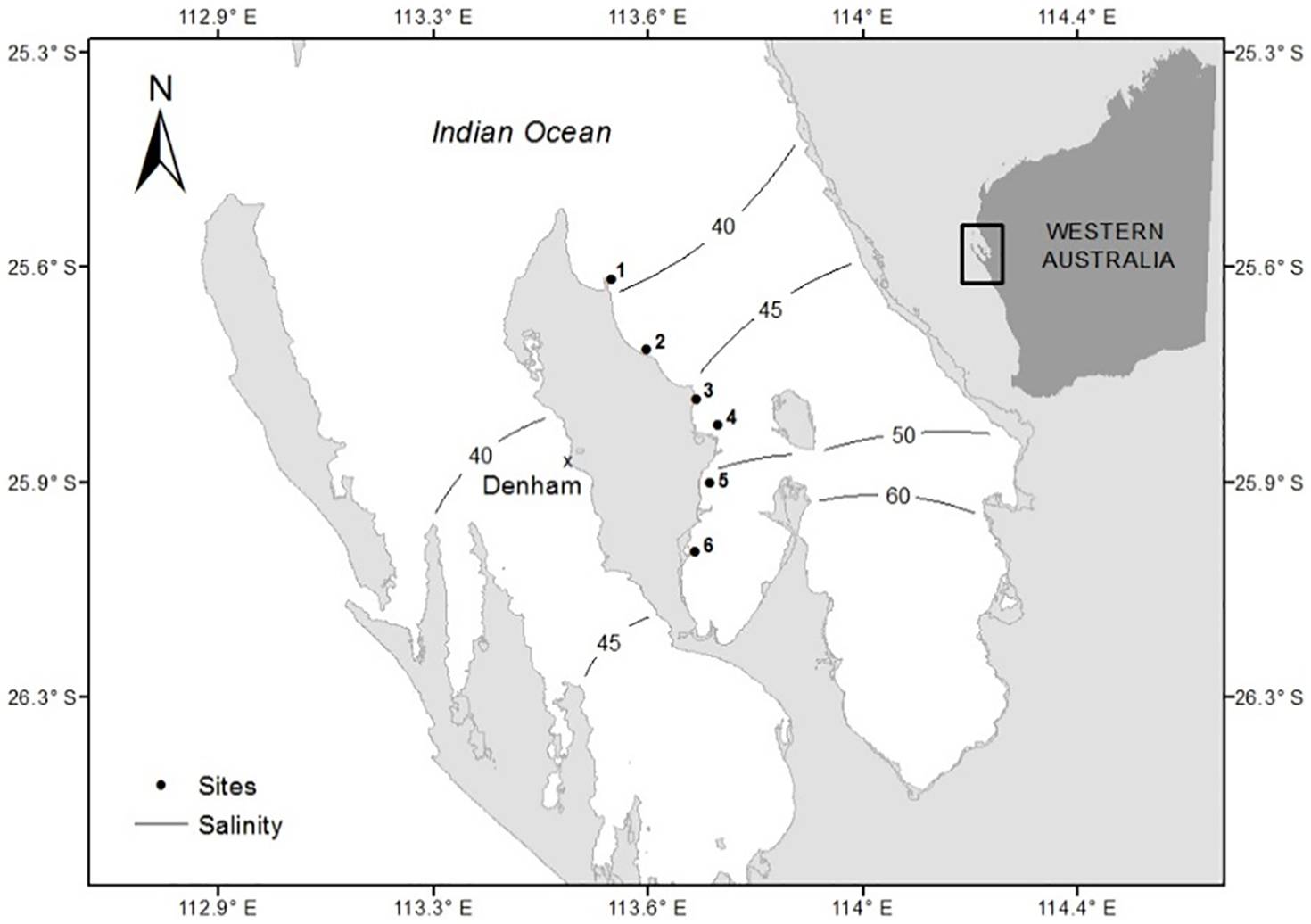 How does salinity impact fish grazing in seagrass meadows? – oceanbites