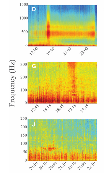 The Sound of (Fish) Music – oceanbites