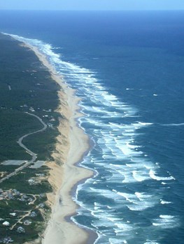 coastal ecosystem wikimedia commons – oceanbites