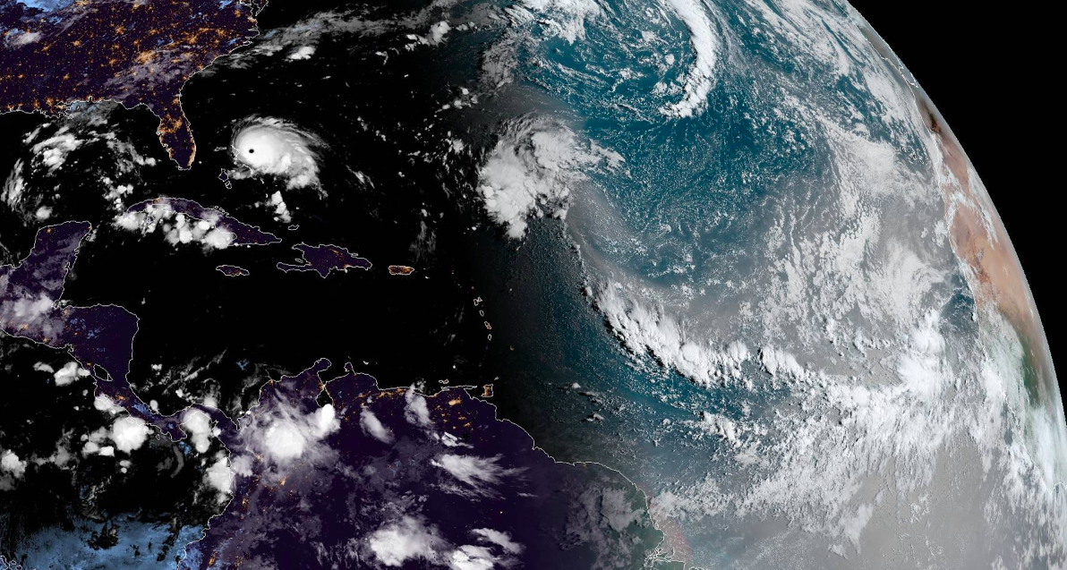 Caught in the Storm: Tropical Bird Sightings in Nova Scotia after ...