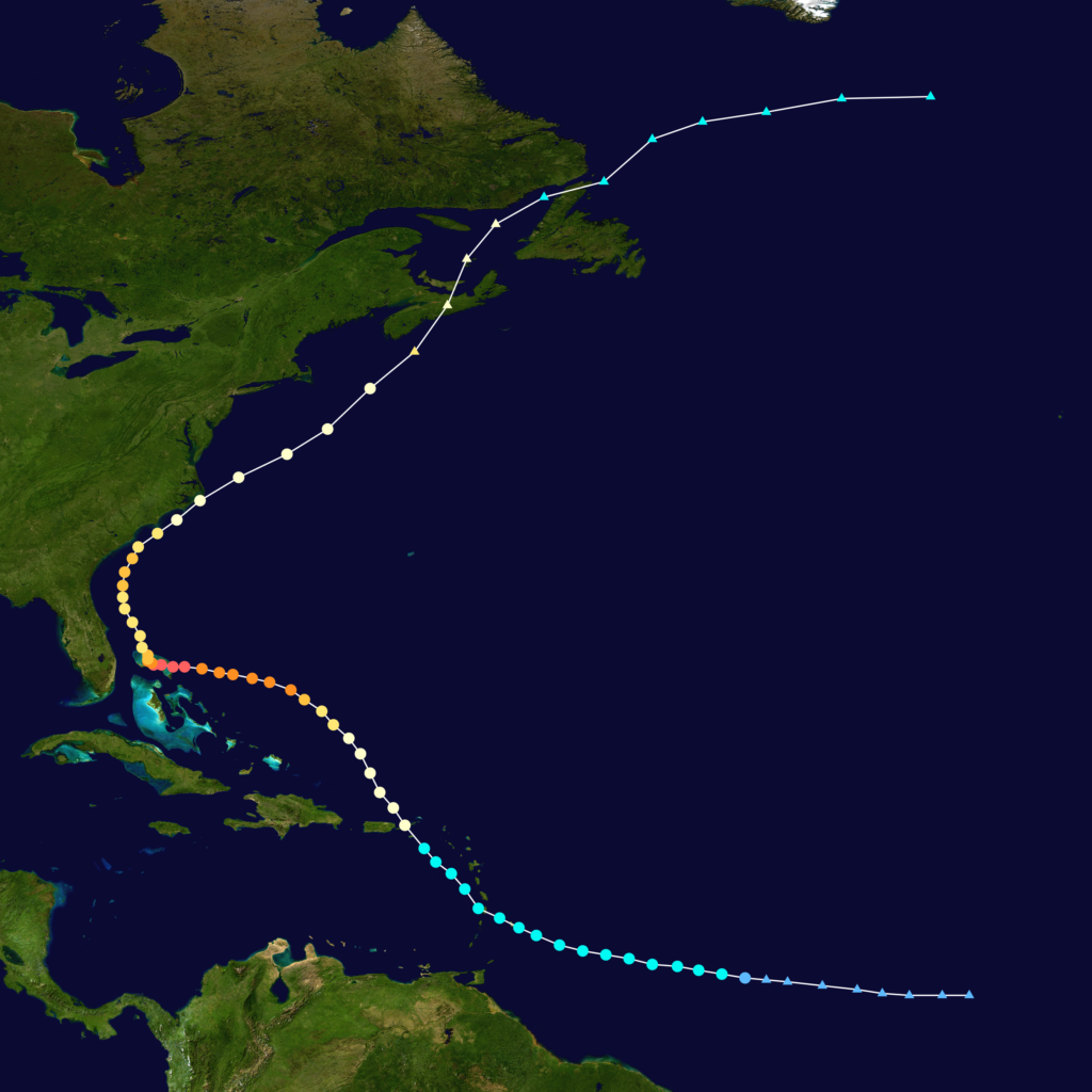 Caught in the Storm: Tropical Bird Sightings in Nova Scotia after ...