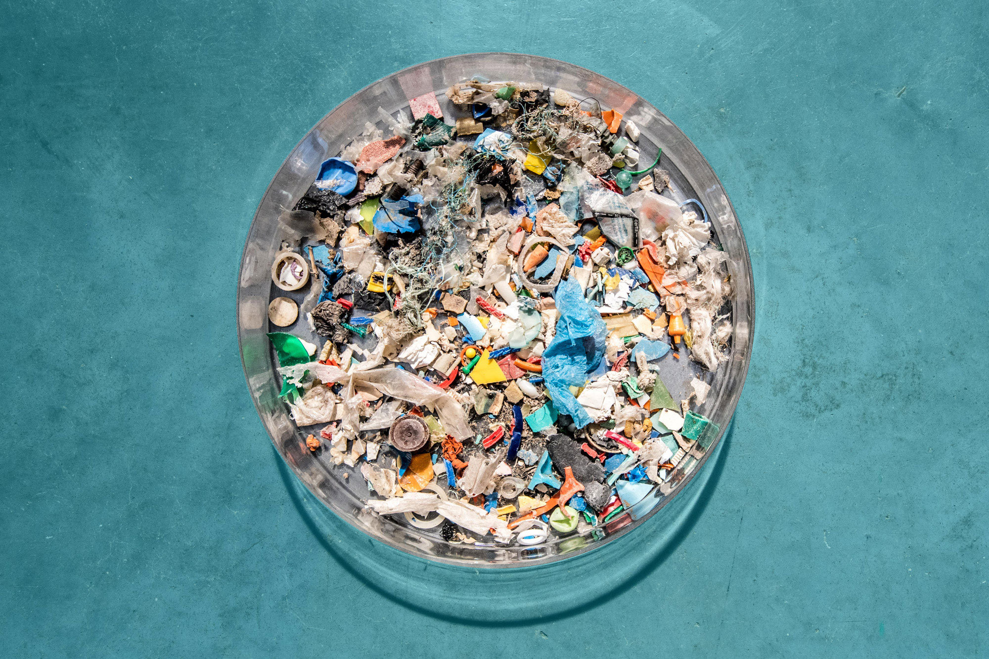 Sunlight May Stimulate Breakdown of Ocean Plastic – oceanbites