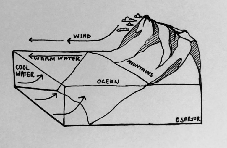 Upwelling: a coral safety net? – oceanbites