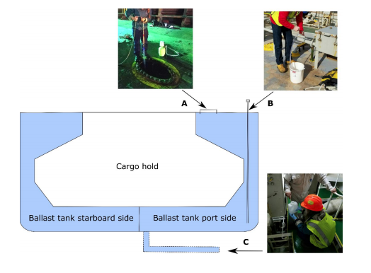 Hidden diversity in ships’ ballast tanks – oceanbites
