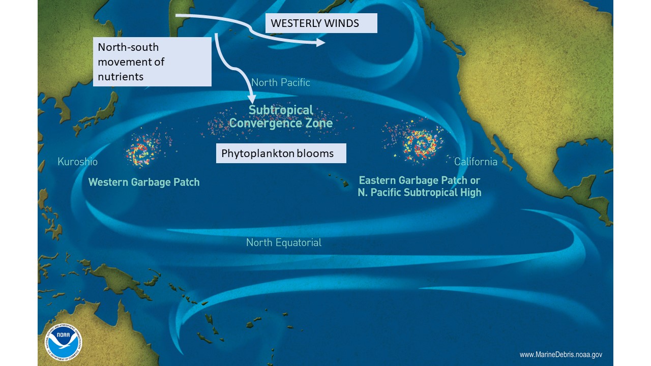 Atmospheric traffic jams halt nutrient flow to ocean phytoplankton ...