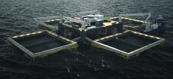 A floating island: is this where we’re moving to next? – oceanbites