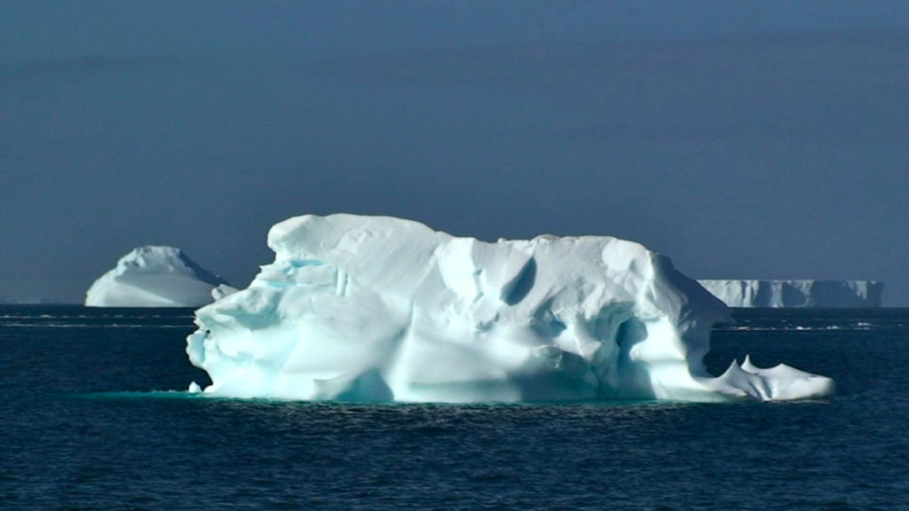 Icebergs Fertilize Phytoplankton Growth – oceanbites