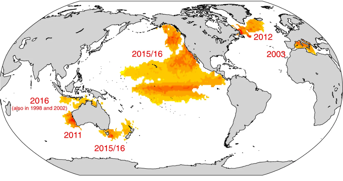 An Ocean on Fire – oceanbites