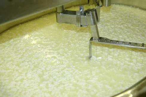 The secret life of cheese: how dairy can support biofuel production ...