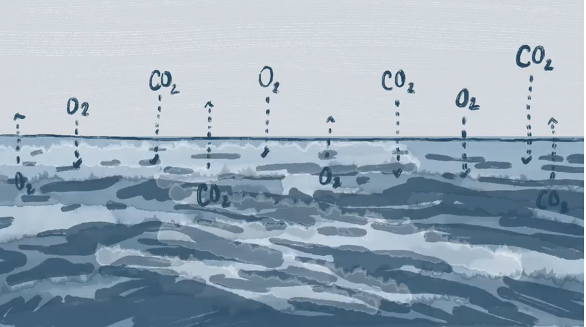 Deep Breathing Underwater – oceanbites