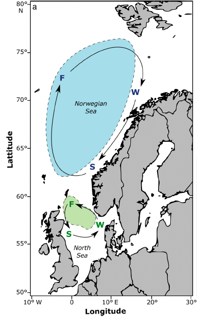 Catch prey while the sun shines – Herring grow bigger when they can see ...