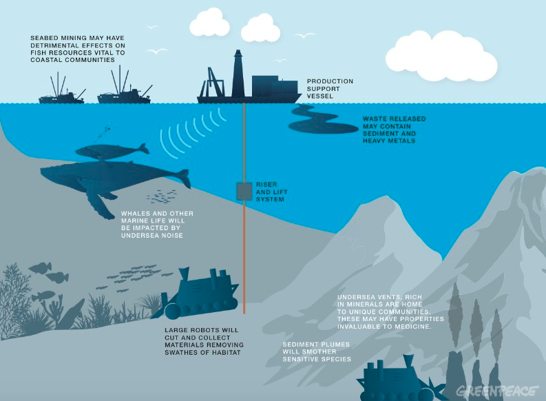 Life in the Abyss: the ecological impacts of deep-sea mining – oceanbites