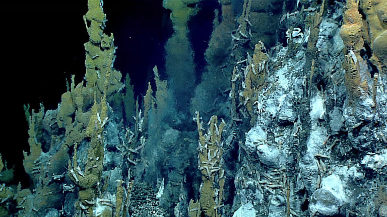 oceanbites – Ocean science for everyone!