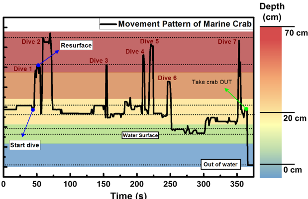 Making Animals Comfortable In Their (Marine) Skin – oceanbites