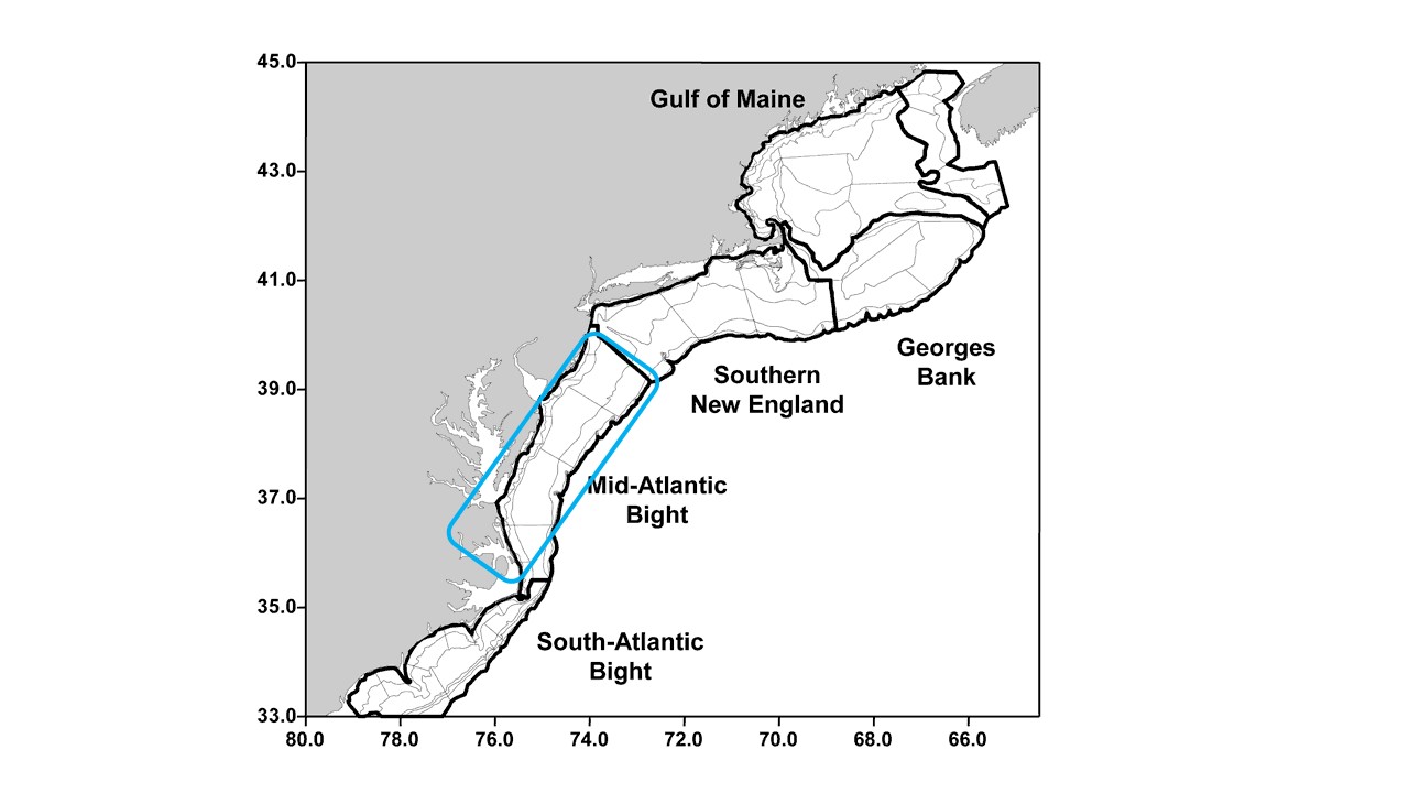What’s up, doc? How scientists are developing health charts for fish ...