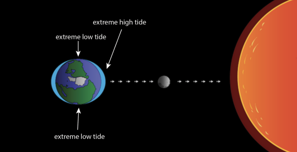 Telling time in the deep sea – oceanbites
