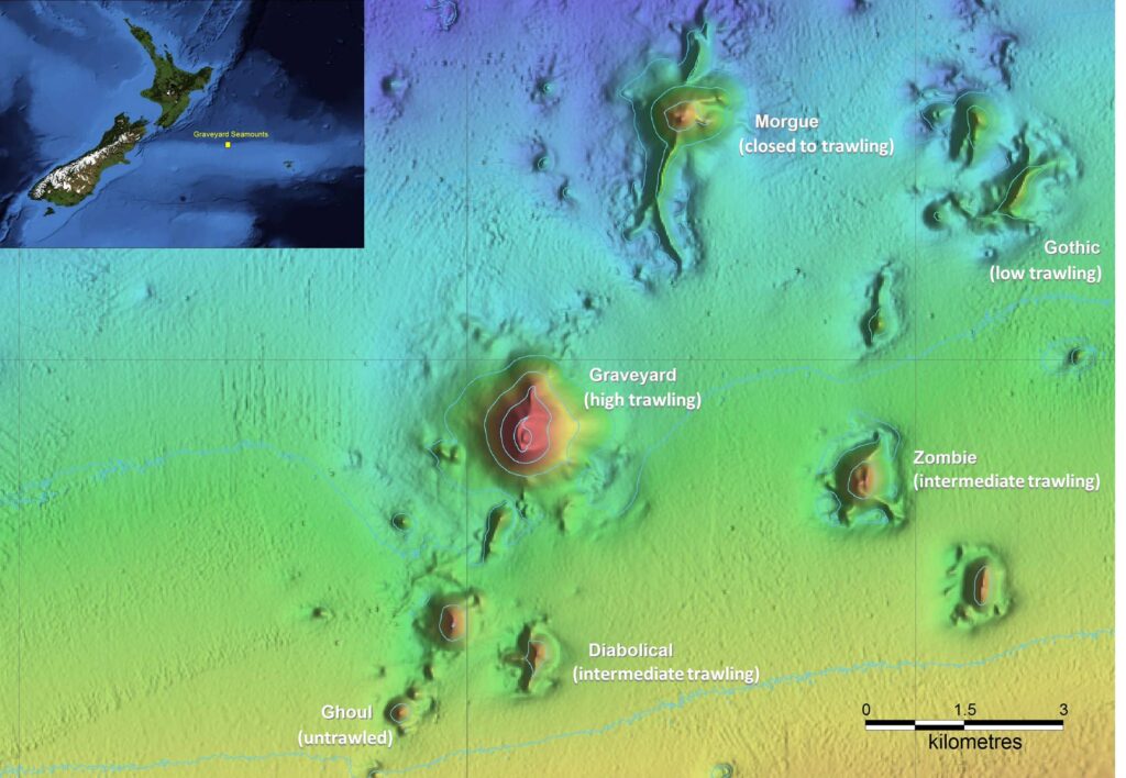 Bottom trawling may irreparably damage seamount habitats – oceanbites