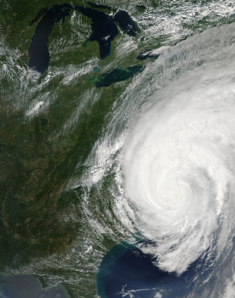 Crushed it: Sea turtles can help us understand hurricanes in the mid ...