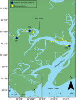 Underwater musicians: estimating health of an estuary using sound ...