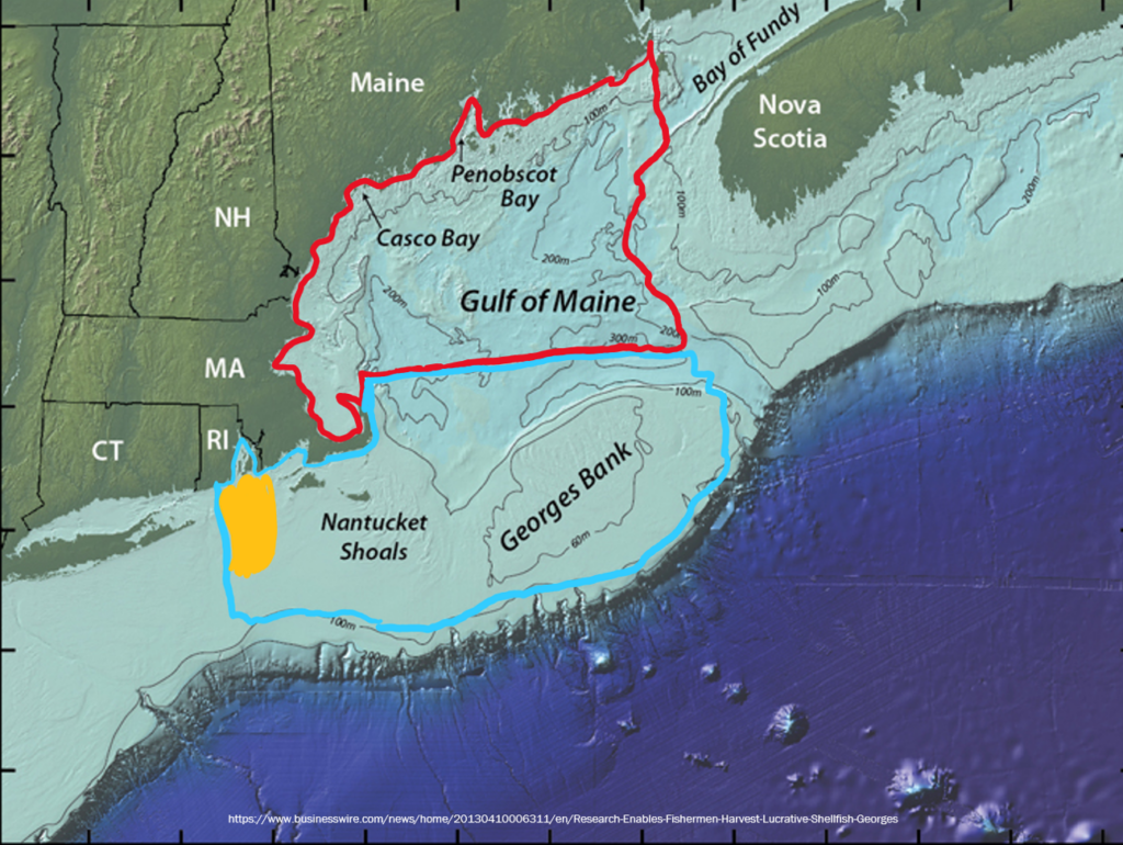 SURFO Special: Examining Atlantic cod populations on Northeast Atlantic ...
