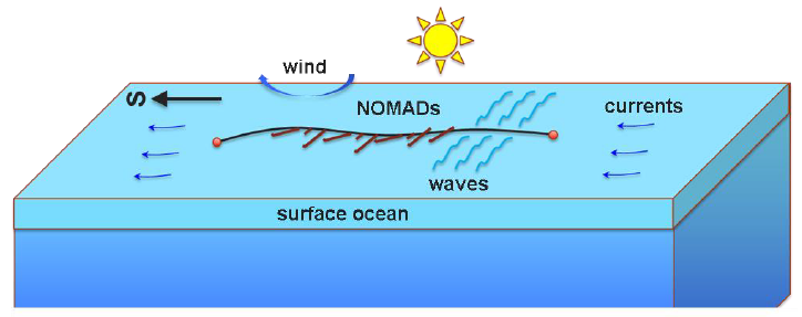 The Life of an Aquatic NOMAD: A Study of Macroalgae in the Pacific ...