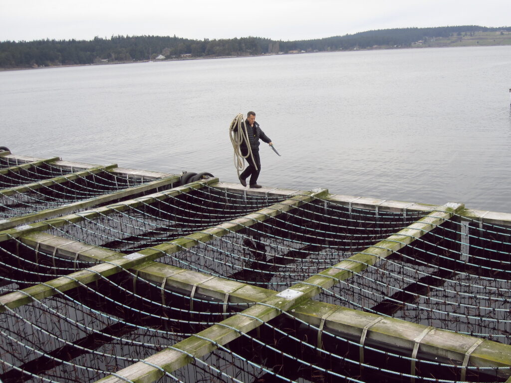 Sea-farming our way to a better future – oceanbites