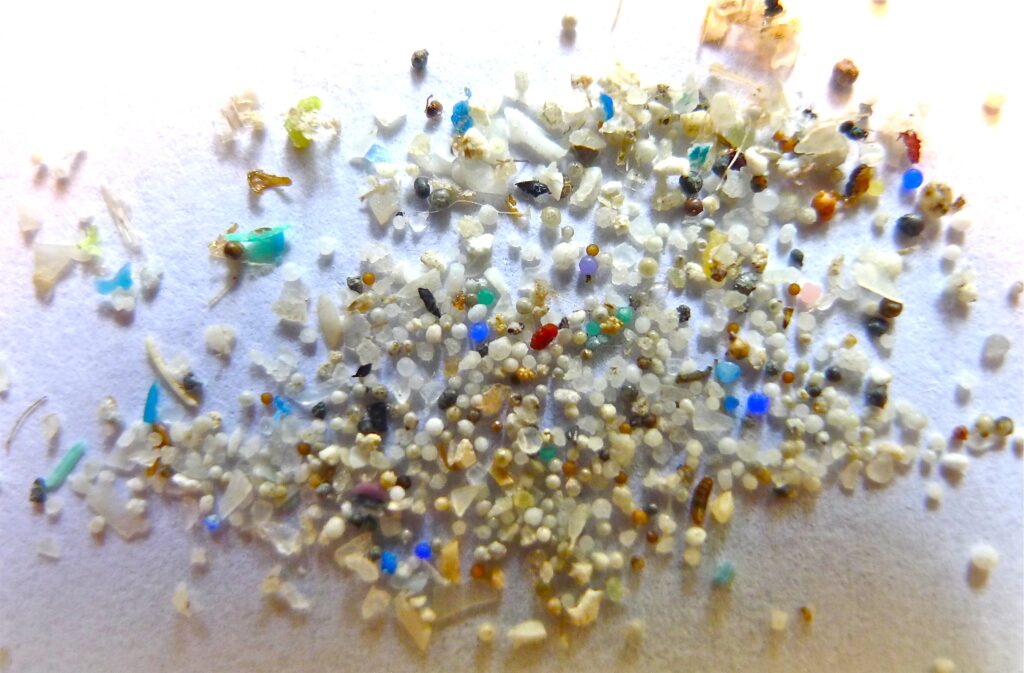 Can Green Algae Capture Microplastics in the Great Lakes? – oceanbites