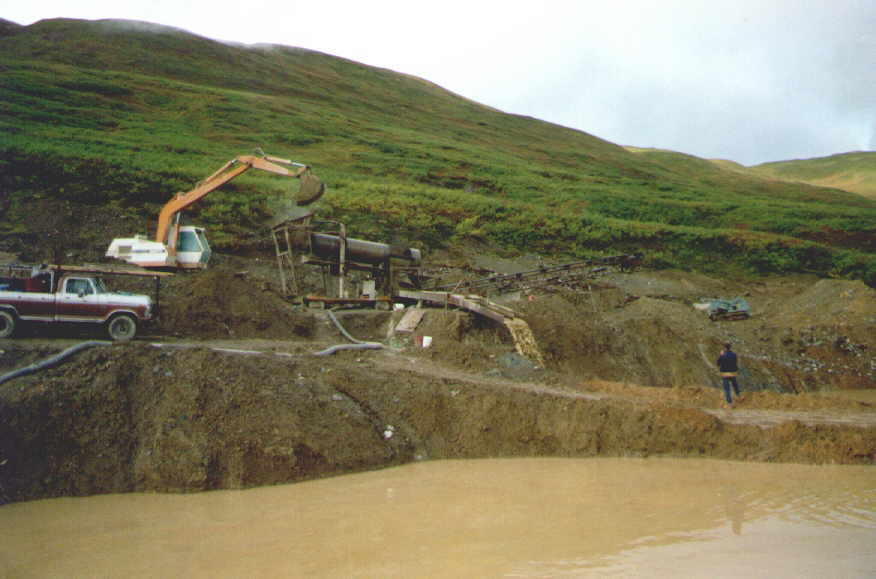 The Otter Guys: How heavy metal pollution affects Alaskan northern sea ...