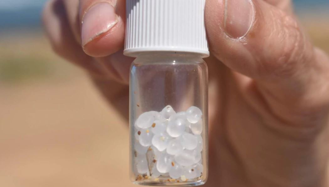 Fish feed on ocean plastic… but are they really only eating plastic ...