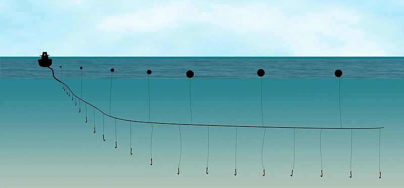 Sleeper Sharks: From the jaws of defeat – oceanbites
