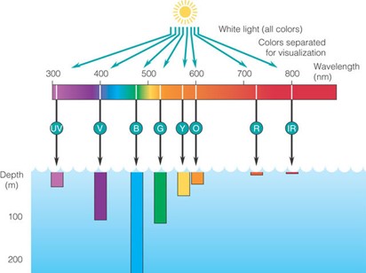 Size matters: The power of particles in determining ocean color ...