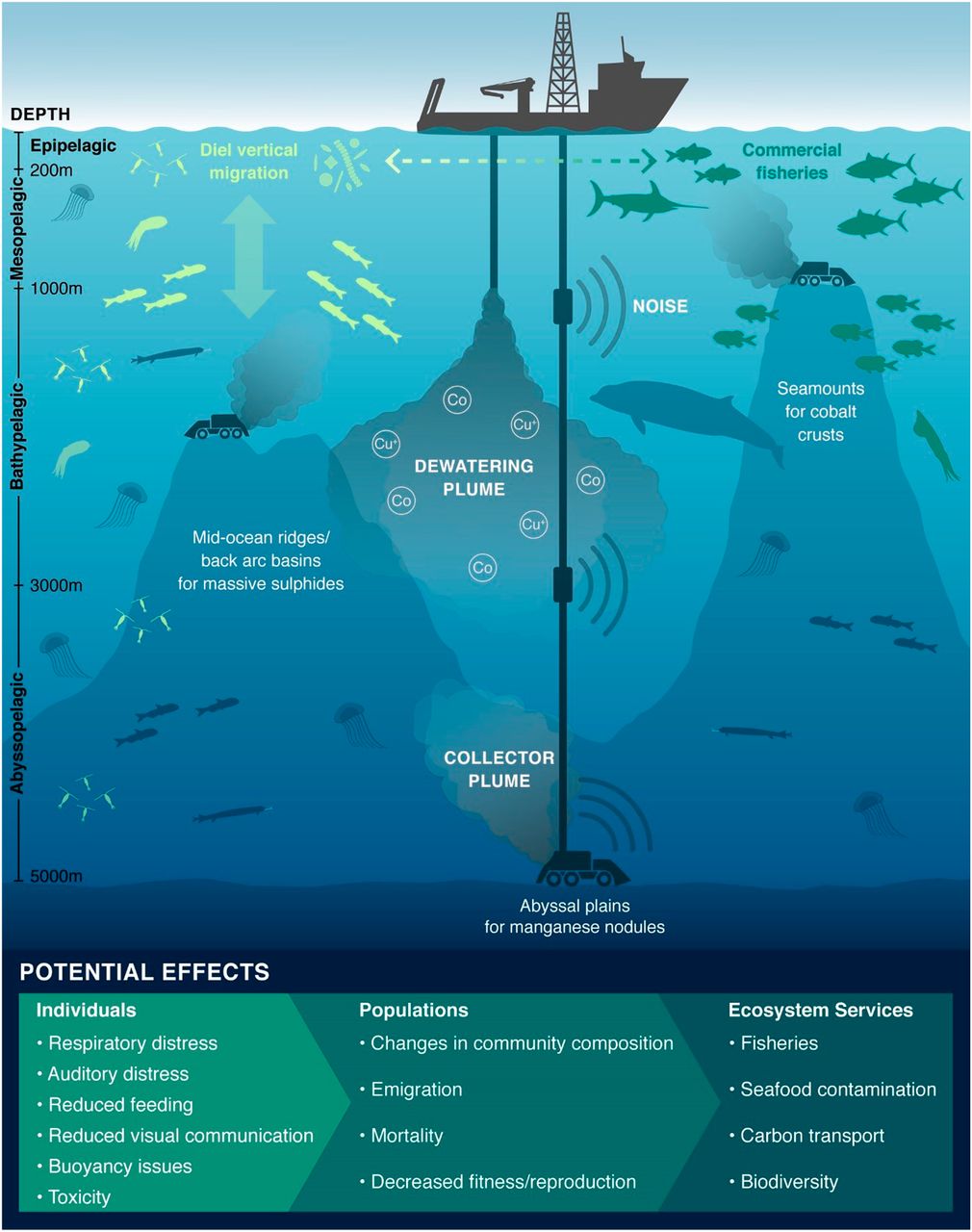 What does the deep sea sound like? – oceanbites