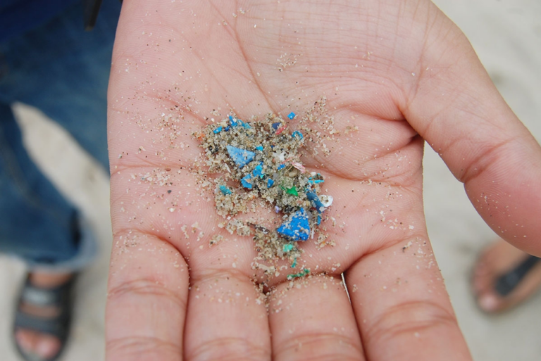 How many microplastics are in your body? An insight into lifetime ...