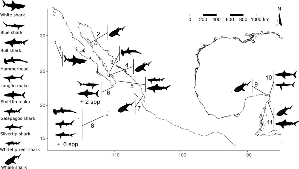 Taking a Bite of the Blue Economy – oceanbites