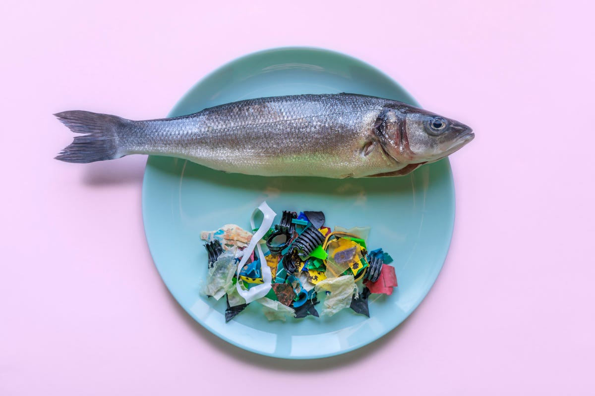 Microplastic debris in our oceans: how much does it really matter for ...